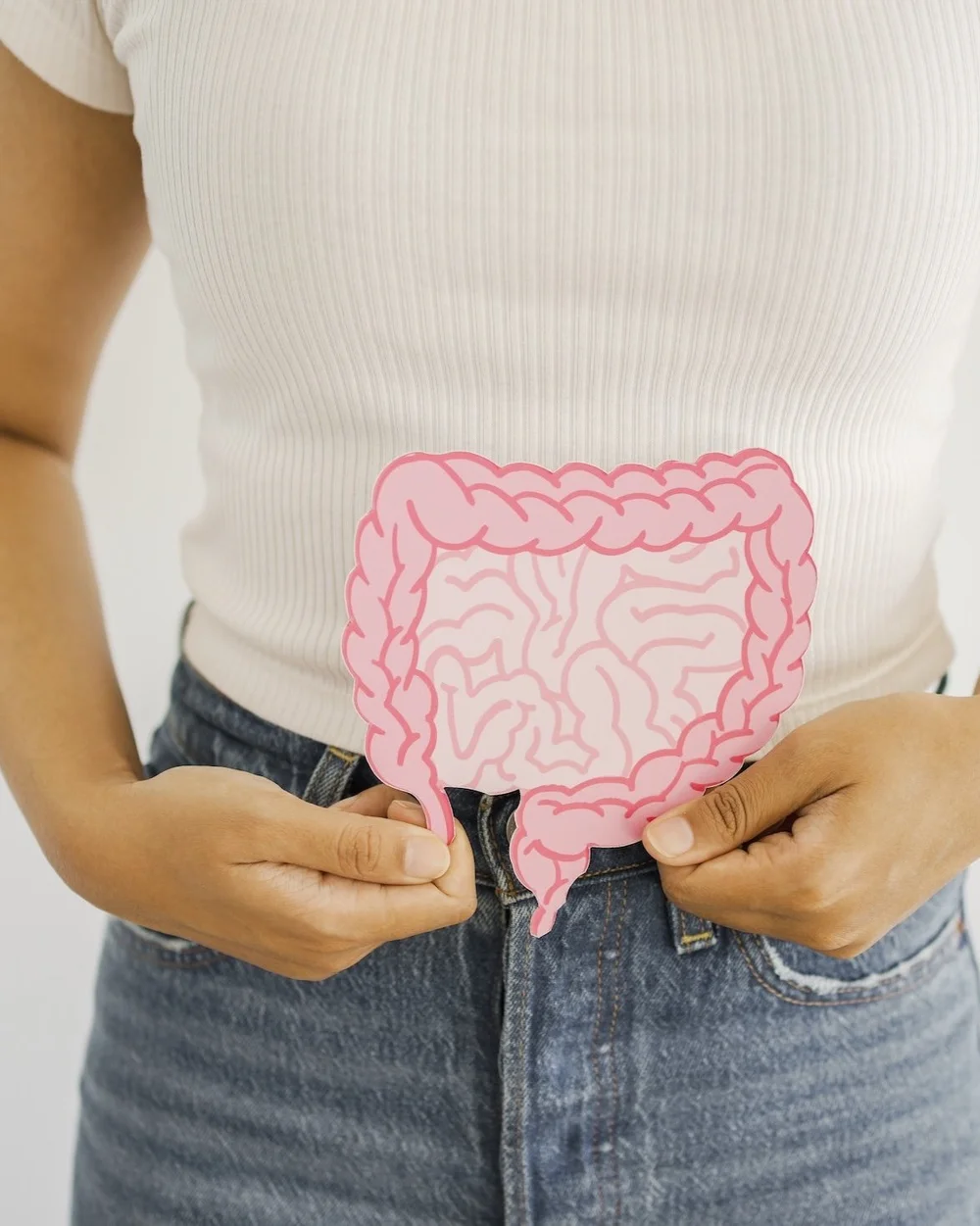 Gut Health The Importance Of Probiotics And Vegan Sources